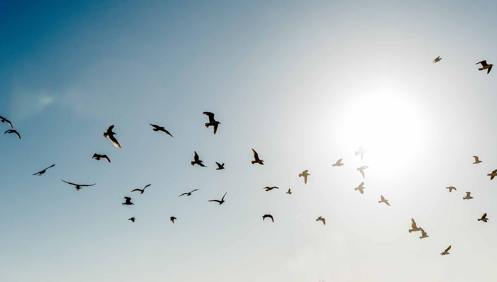 Projekter | Thy Mors Energi